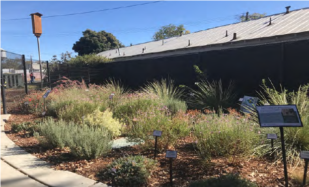 Yolo County Library -Winters Community Library Teaching Garden - Yolo ...