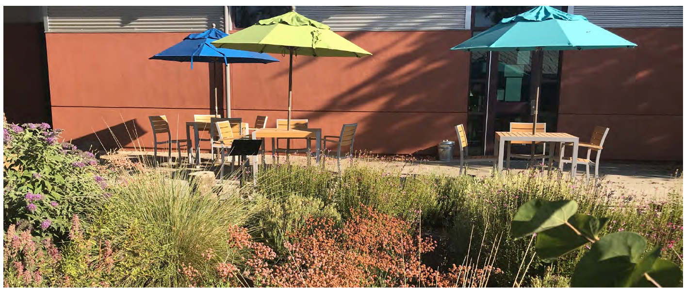 Yolo County Library -Winters Community Library Teaching Garden - Yolo ...